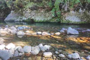 What Is Post-Hypnotic Amnesia? - Max Trance