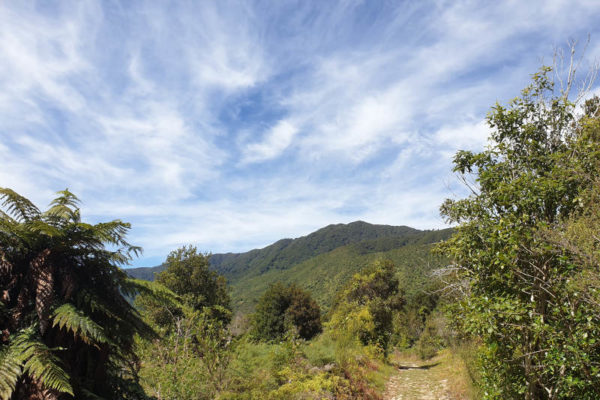 23 Signs of Hypnosis: How to Tell If Someone Is Hypnotized - Max Trance