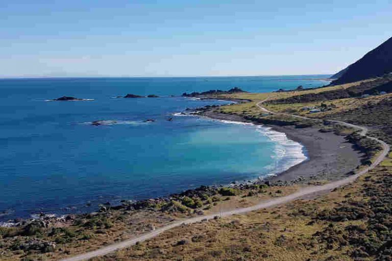 How to Hypnotize Someone to Sleep - Max Trance