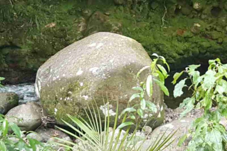 23 Signs of Hypnosis: How to Tell If Someone Is Hypnotized - Max Trance