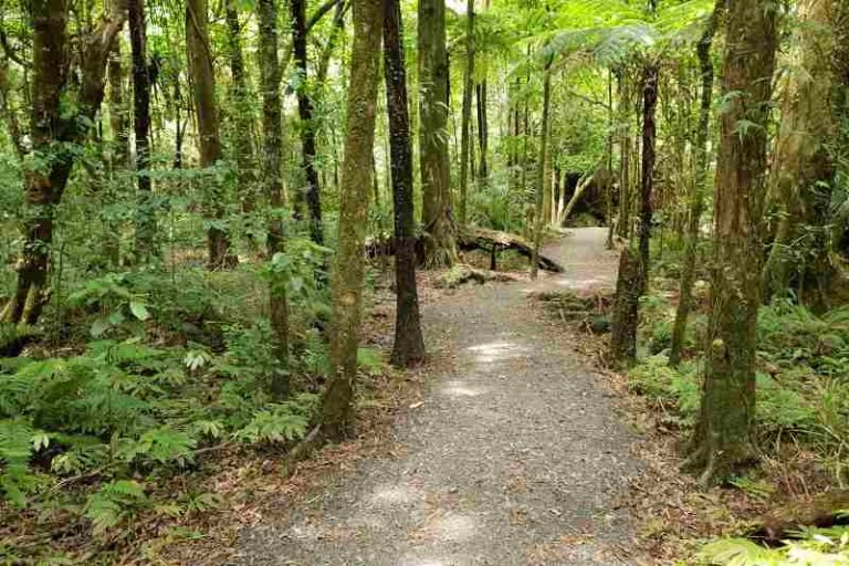 23 Signs of Hypnosis: How to Tell If Someone Is Hypnotized - Max Trance