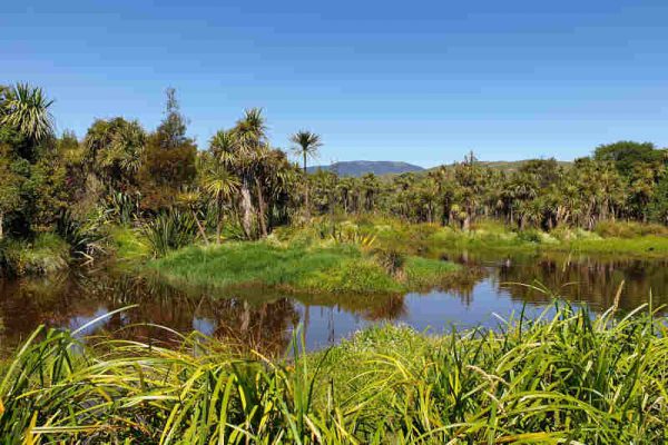 23 Signs of Hypnosis: How to Tell If Someone Is Hypnotized - Max Trance