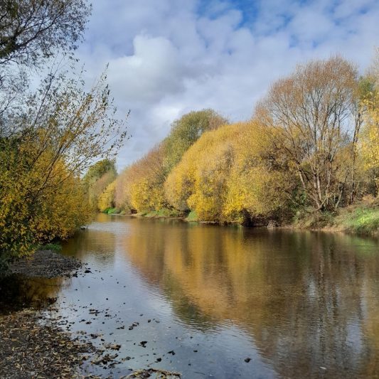 How to Hypnotize Yourself Instantly - Max Trance